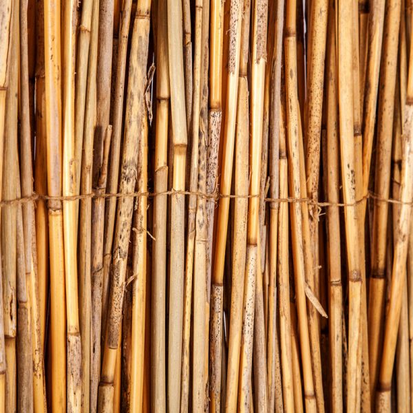 Reed panel fence 185cm x H100cm - Folkland